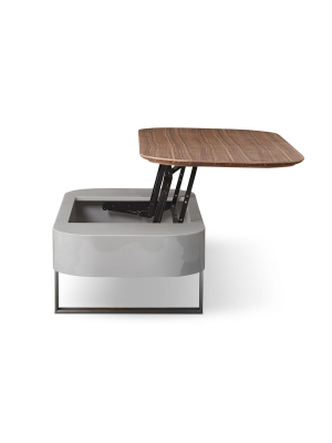 Dania Furniture Baptisia Lift Top Storage Coffee Table - Autumn