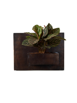 Burke Decor Ozur Rectangle Wall Planter - House For Greens