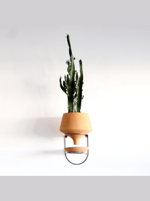Holistic Habitat The Holistic Habitat Wall Mount Funnel Planter-natural ...