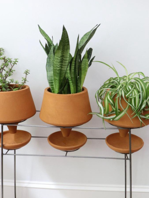 Holistic Habitat Set Of 3 Natural Clay Funnel Pots On Wire Console - Autumn