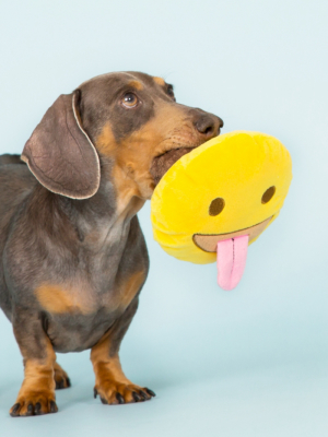 Urban Outfitters Bark Tongue Face Emoji Ball Dog Toy - Autumn