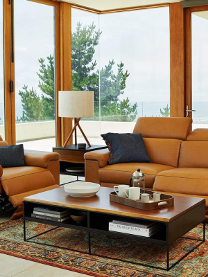 Dania Furniture Channing Power Recliner Autumn