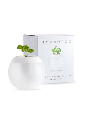 w&p The Hydropod - Autumn