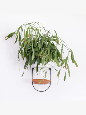 Holistic Habitat The Holistic Habitat Wall Mount Funnel Planter-white ...