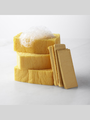 Williams Sonoma Pop-up Sponges, Yellow - Autumn