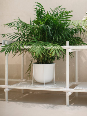 menudesignshop Wire Pot, Black - Autumn